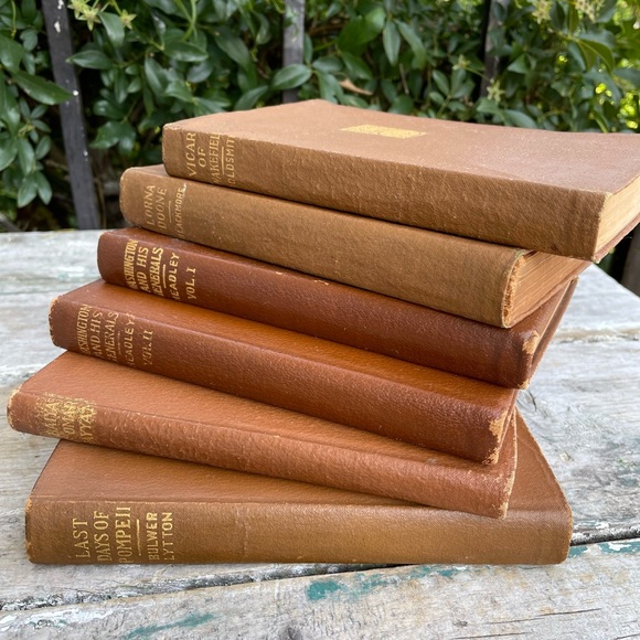 Hurst & Co | Accents | Antique Brown Book Set The Companion Books Early ...